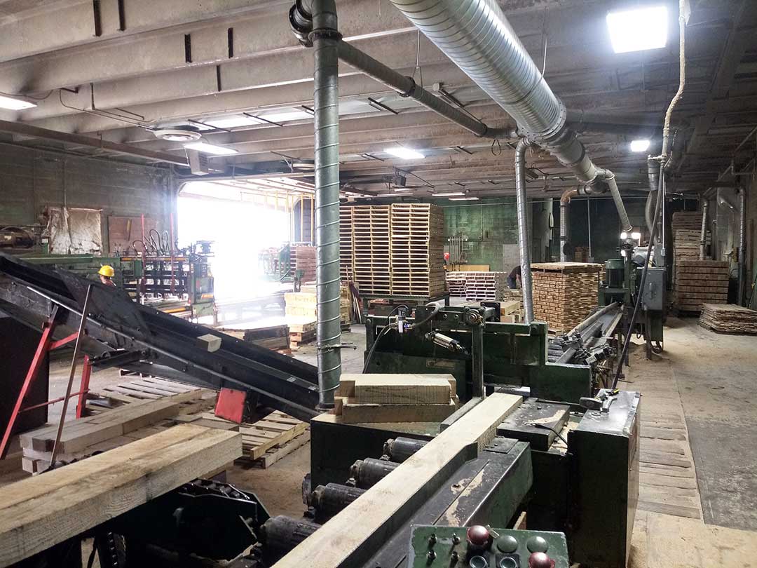 The Pallet Shop – Wayne Pallets